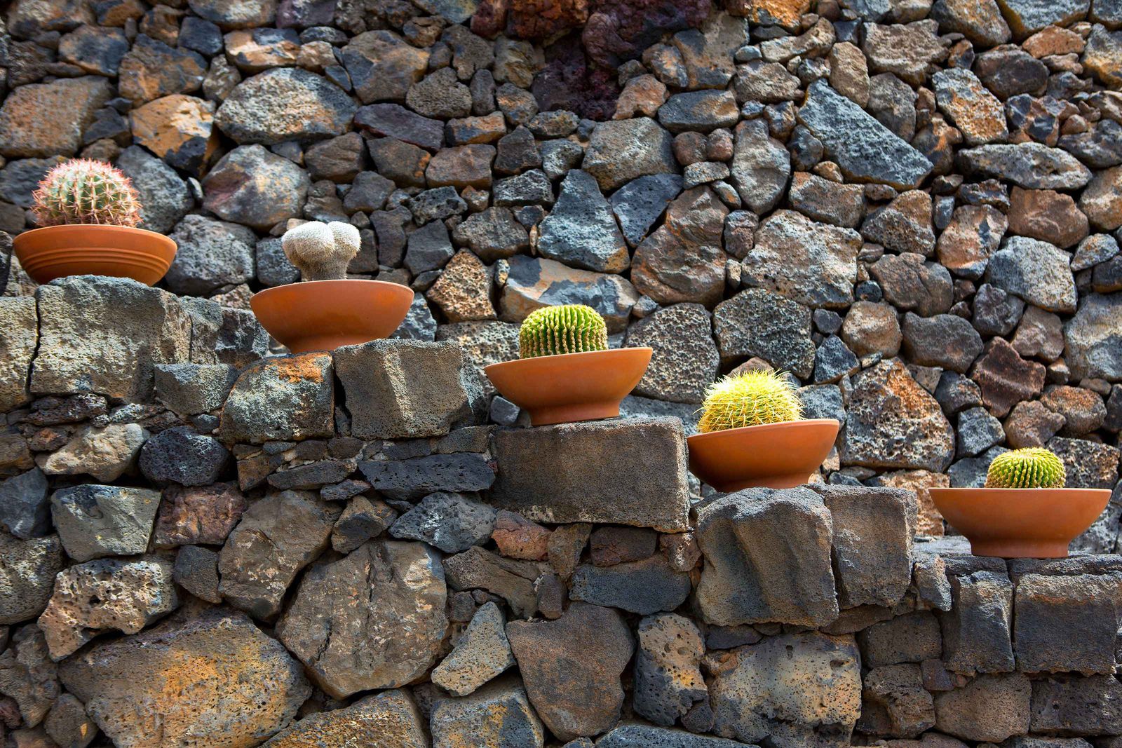 Cactus garden ideas: 12 ways to welcome these prickly plants into your ...