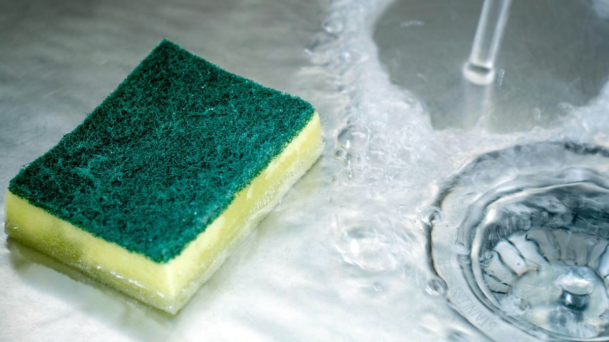 5 mistakes you didn't know you were making with your kitchen sponge ...