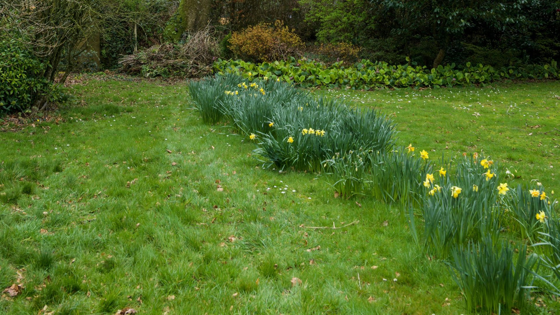 March lawn care tips – 6 jobs to restore a winter-worn lawn | Ideal Home