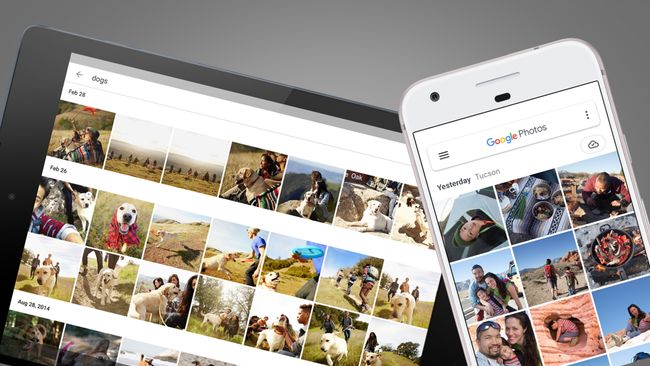 Google Photos backup: how to back up your snaps to and from Google's ...