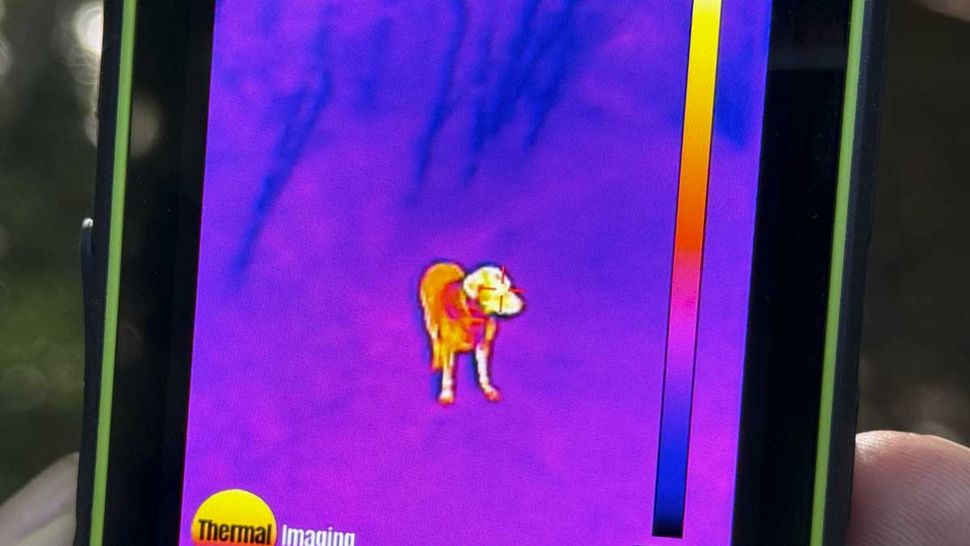 Phonemax R4GT rugged phone review | TechRadar