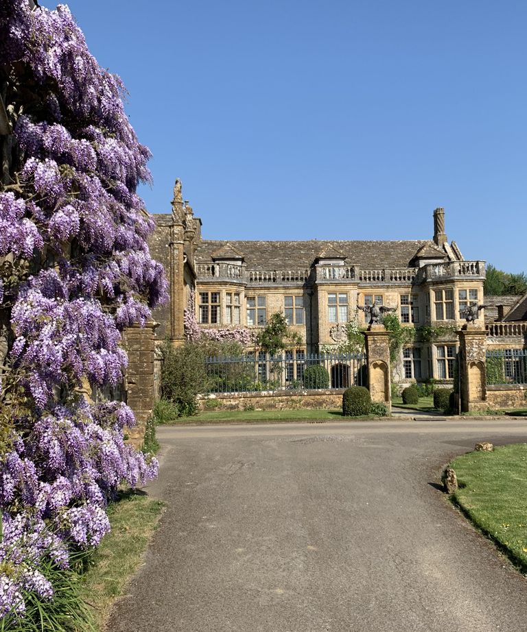 Inside Mapperton: The American Viscountess Julie Montagu's stately home ...
