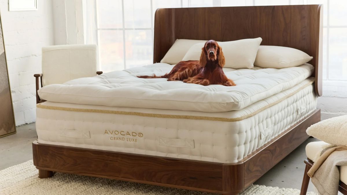 Is this the most luxurious organic bed ever? Avocado launches the Grand Luxe mattress | Tom's Guide