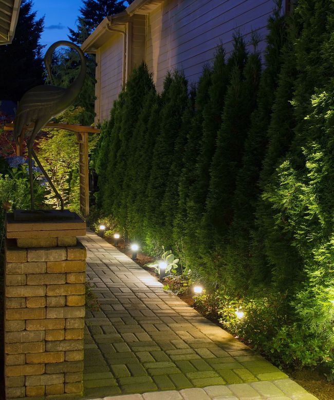 Garden path lighting ideas – 8 ways to enhance your walkways | Homebuilding