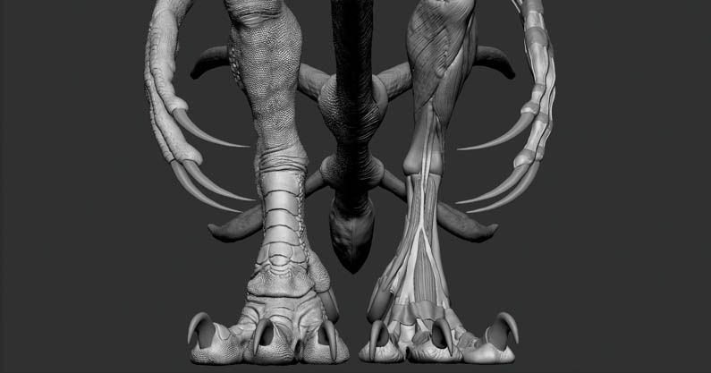 How to master creature anatomy | Creative Bloq