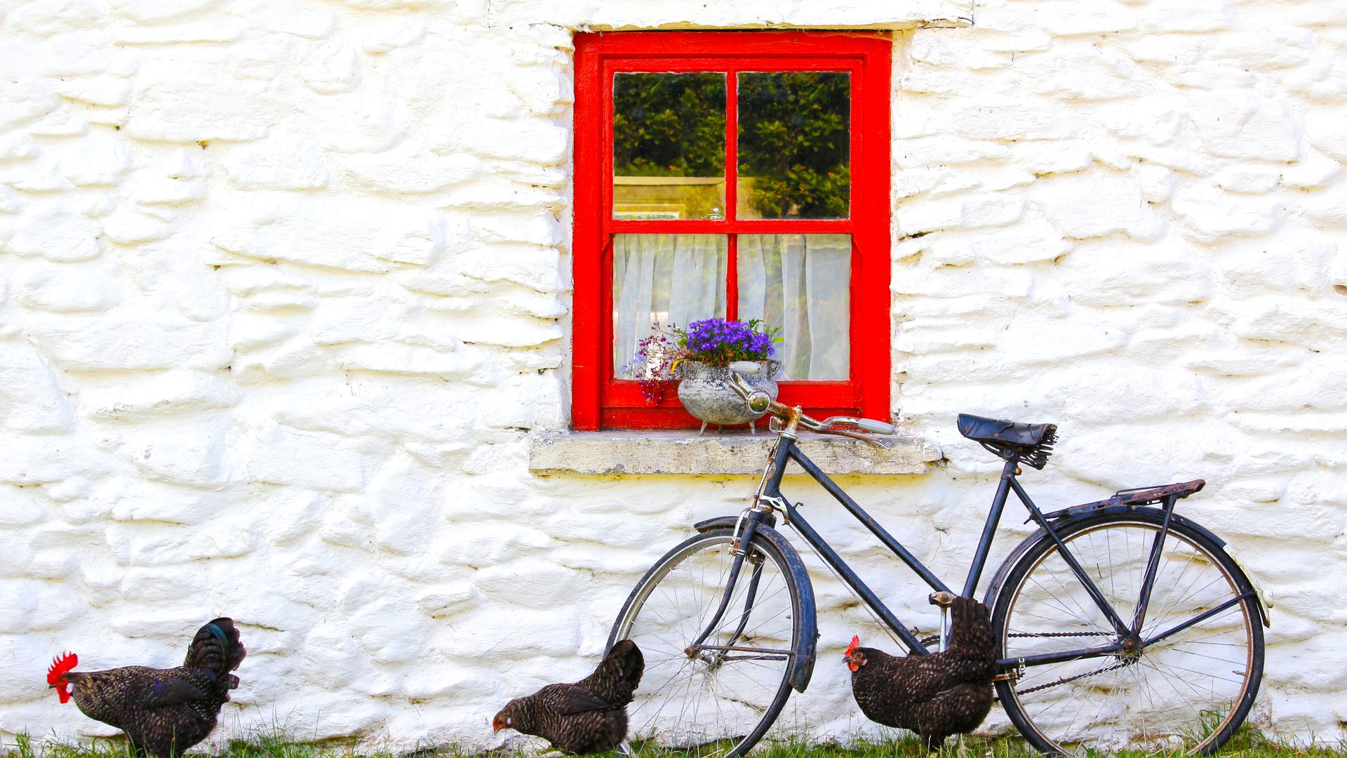 How to install secondary glazing | Real Homes