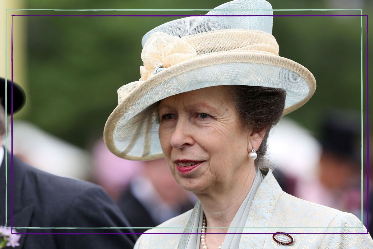 Princess Anne is a dream grandmother and looks after the kids every ...