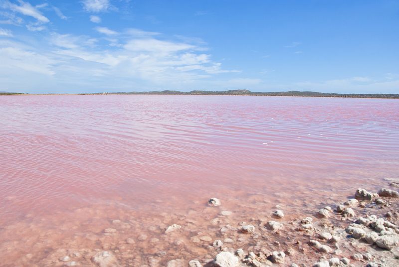 Gallery: Rainbow of Life in Great Salt Lake | Extremophiles | Live Science