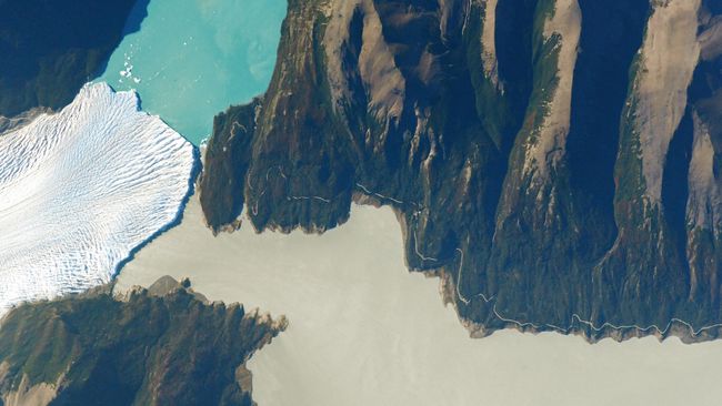 Remains of 90 million-year-old rainforest discovered under Antarctic ...