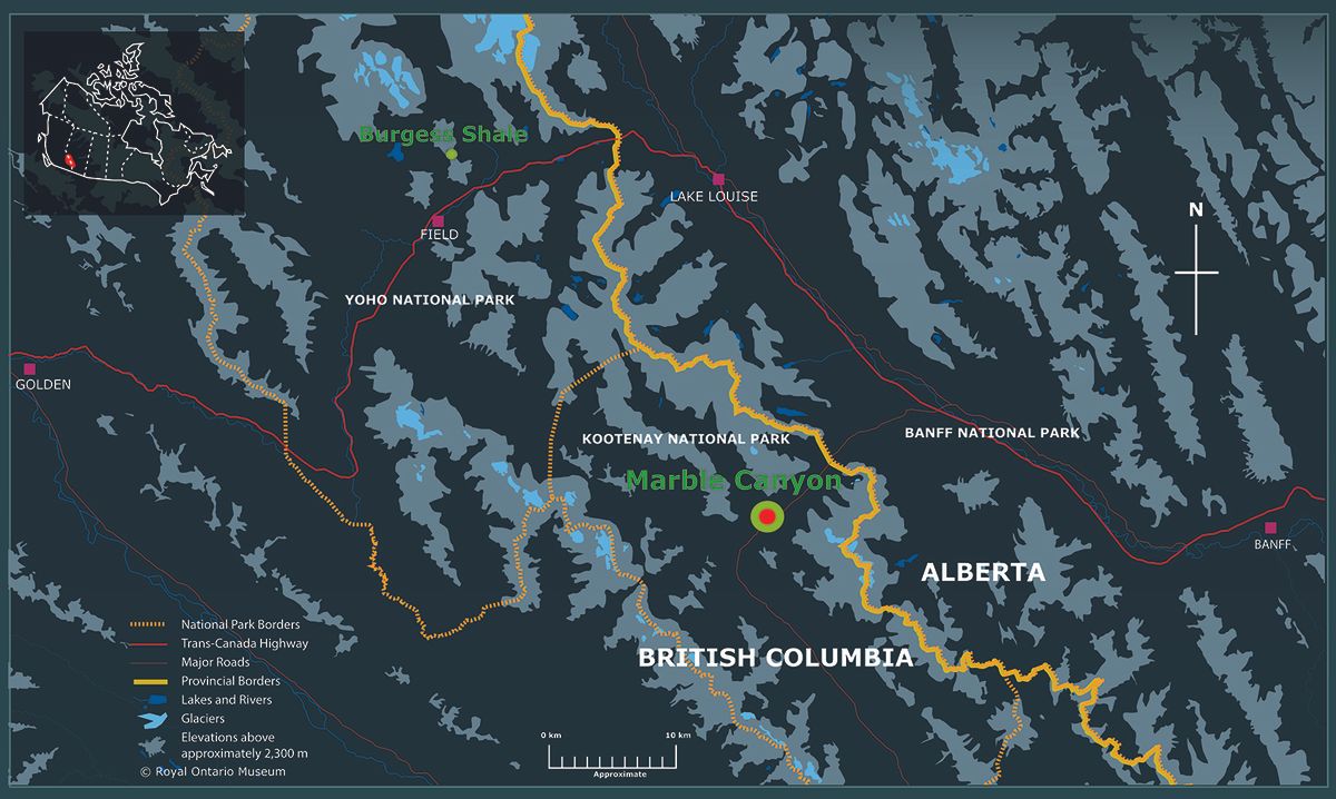 'Mother Lode' of Amazingly Preserved Fossils Discovered in Canada ...