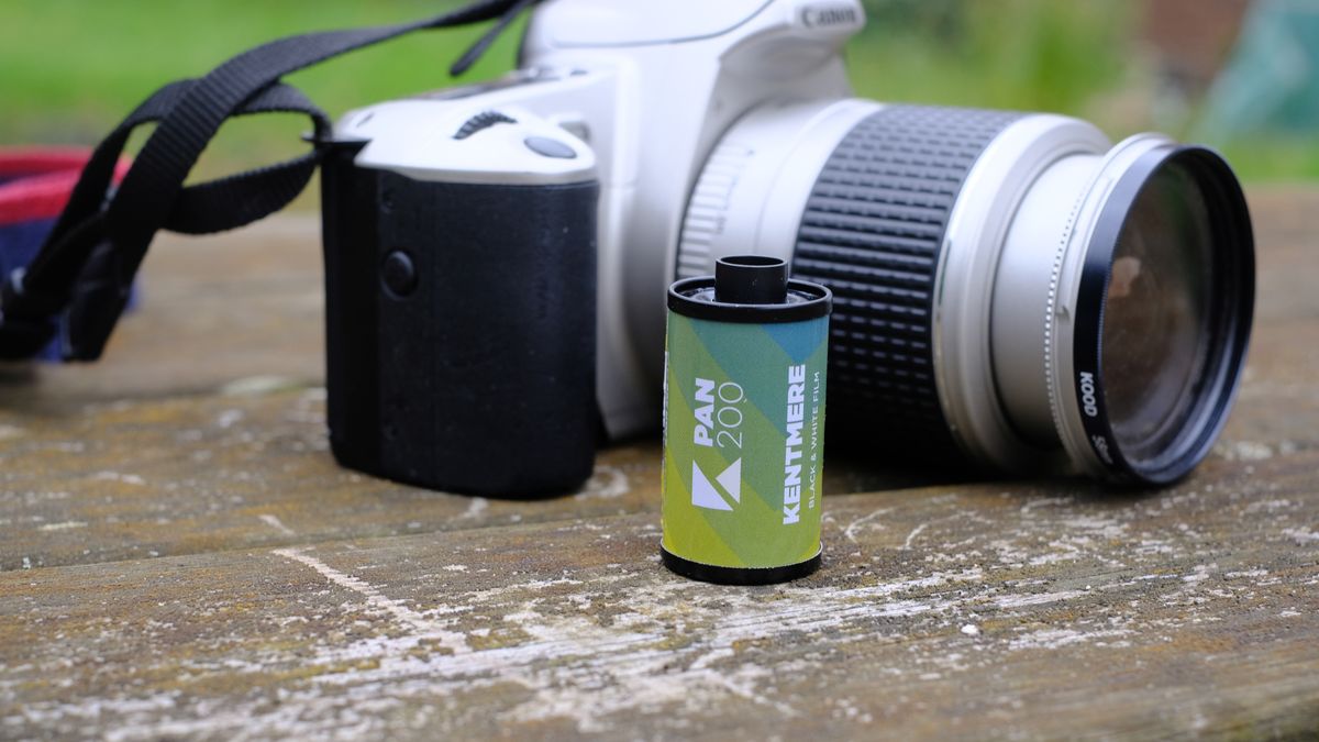 Kentmere Pan 200 film review: the new best budget B&W film | Digital ...