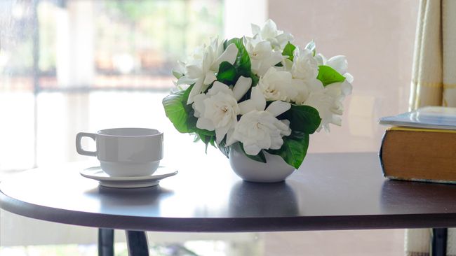 5 plants that can help you sleep at night | Tom's Guide