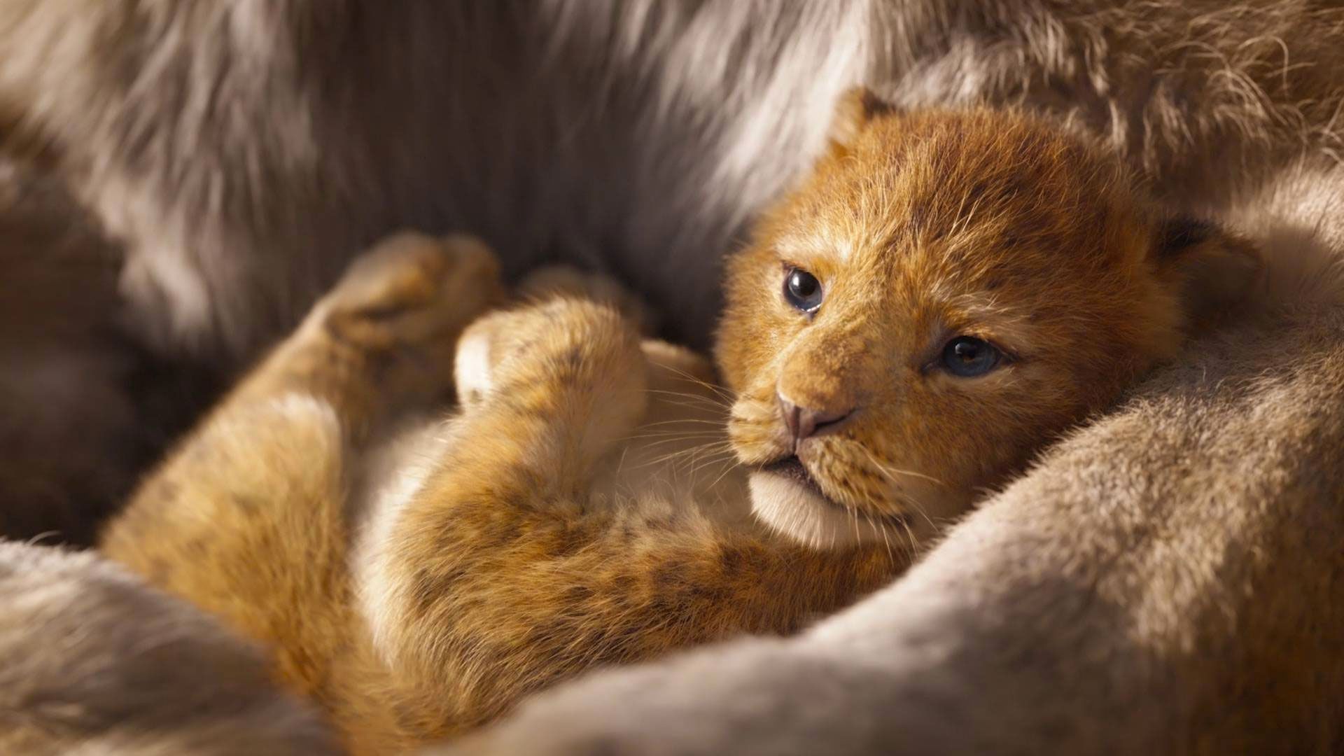 The Lion King could become a Star Wars-esque saga, according to Disney ...