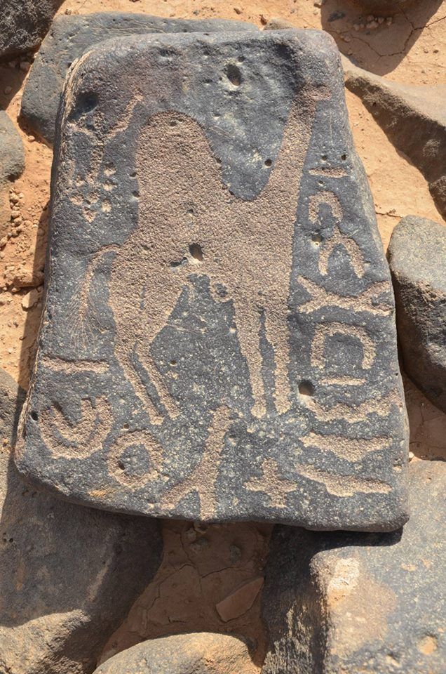 In Photos: Ancient Rock Art Found in Jordan's 'Black Desert' | Live Science