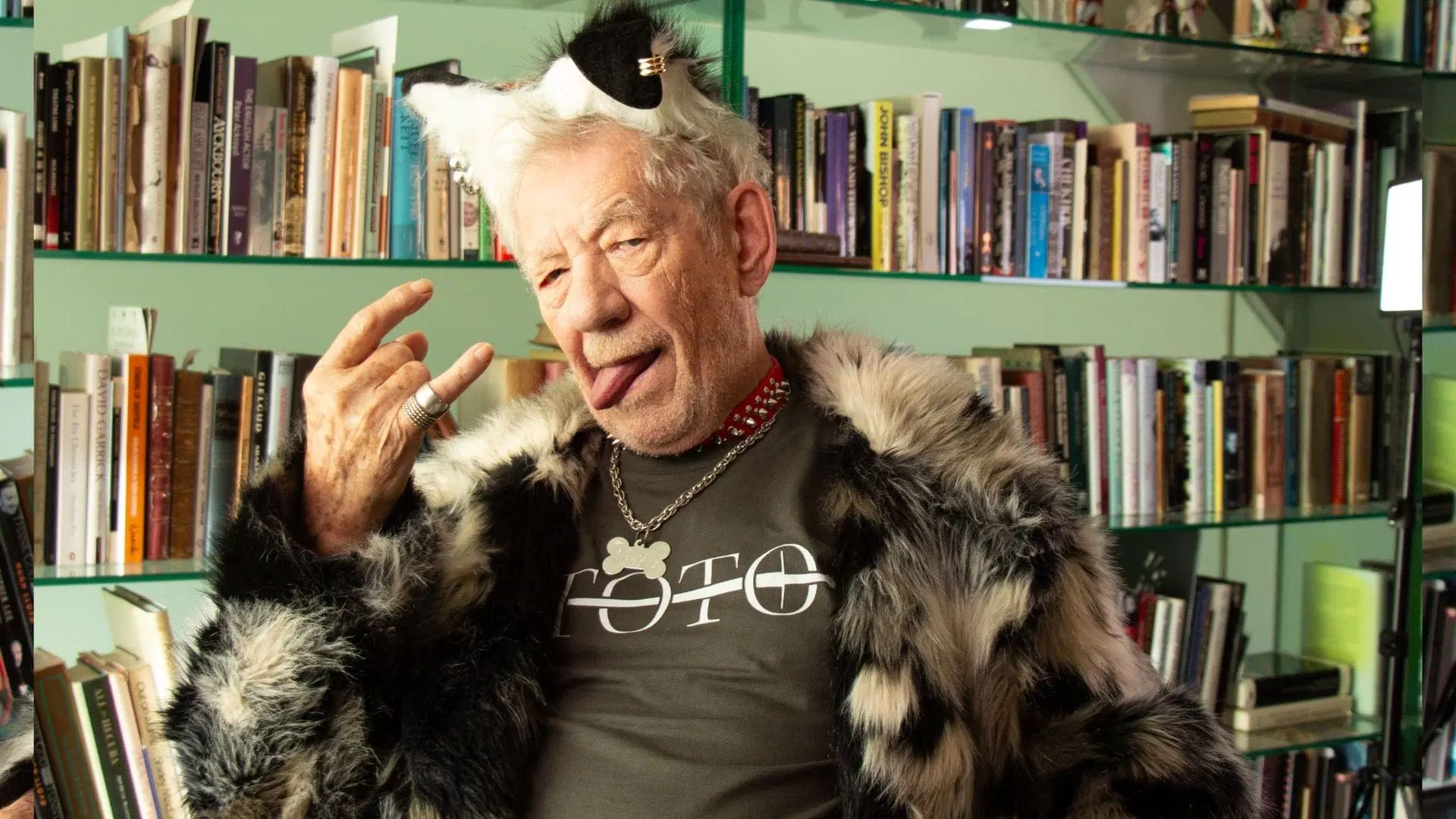 Sir Ian McKellen as Toto the dog and Jeremy Corbyn as the Wizard of Oz-lington: This might be ...