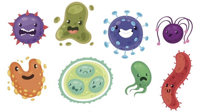 The ultimate kids' guide to the new coronavirus | Live Science