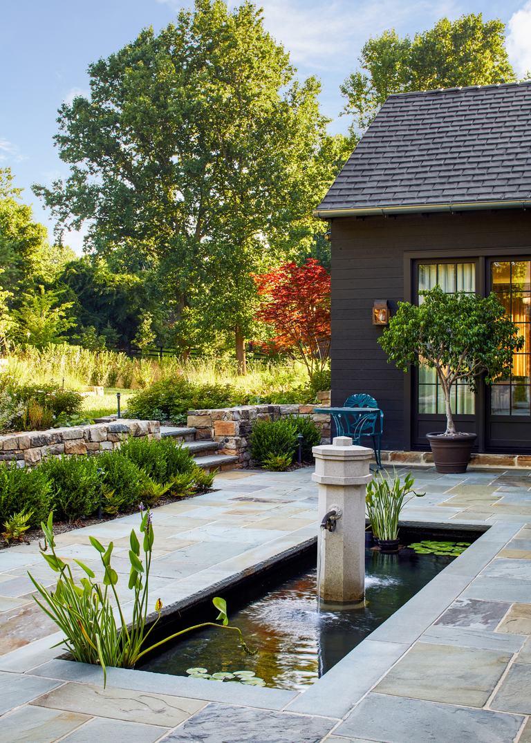 8 Water Garden Ideas That Will Elevate Your Backyard | Livingetc