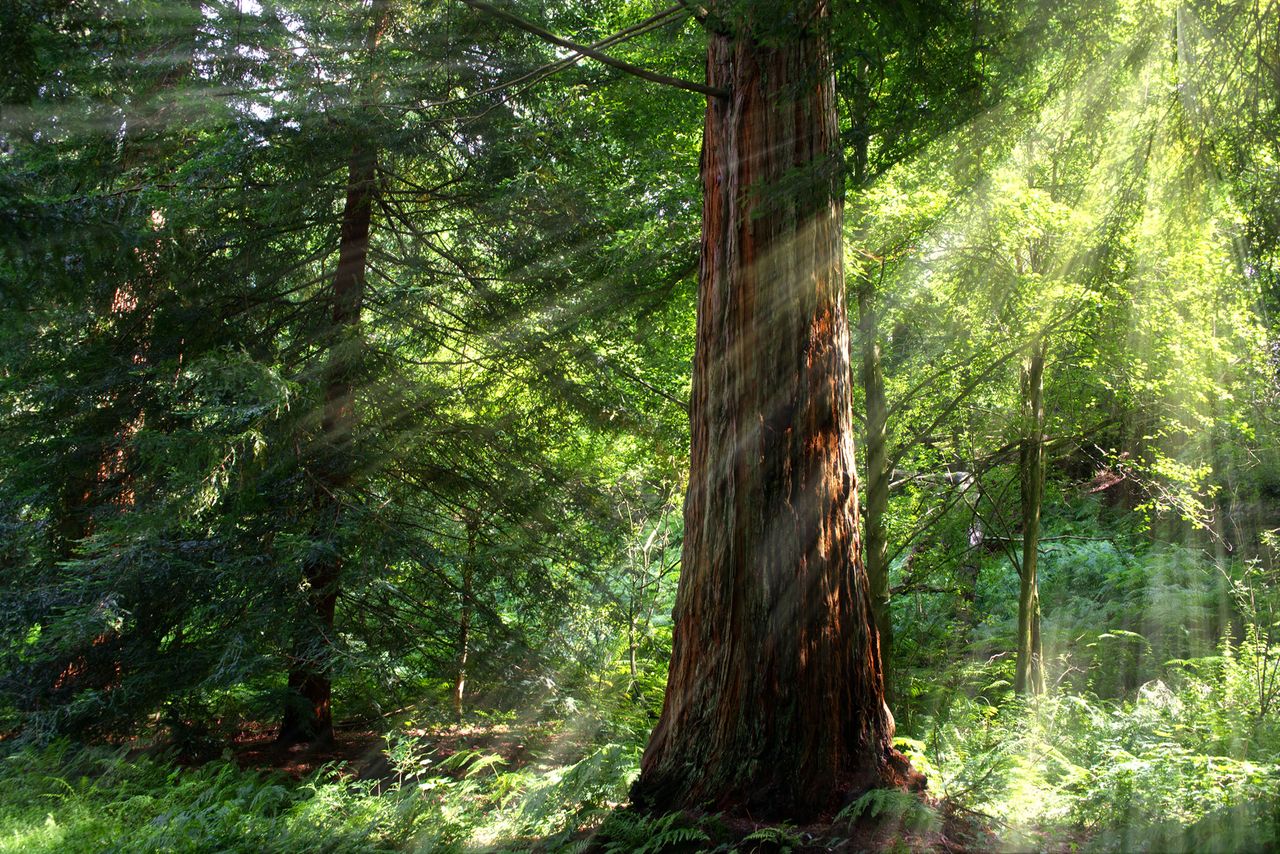 The 15 best pictures from the National Trust's photo competition to ...