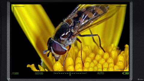 10 best online photography courses | Digital Camera World