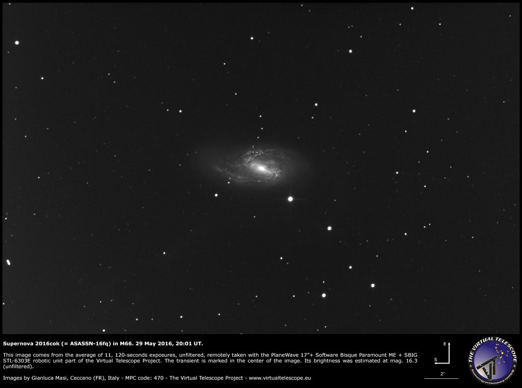 'Assassin' Captures a New Supernova, and Photographers Take Aim | Space