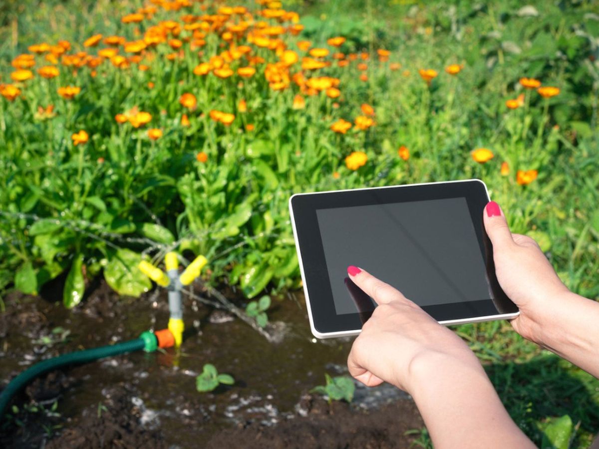Smart Irrigation Systems: How Does A Smart Watering System Work ...