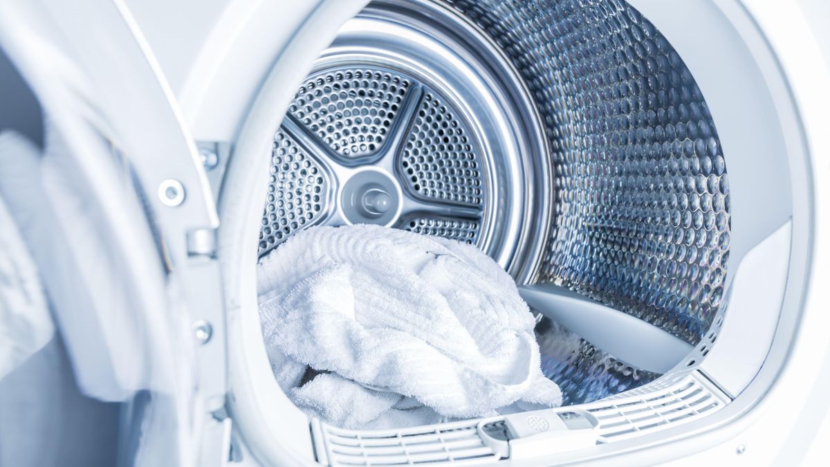 How to remove ink from a dryer in 6 steps | Top Ten Reviews