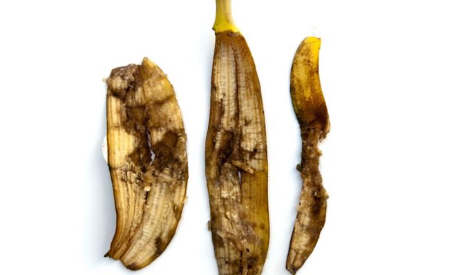 Mangled up and chewed | The Week