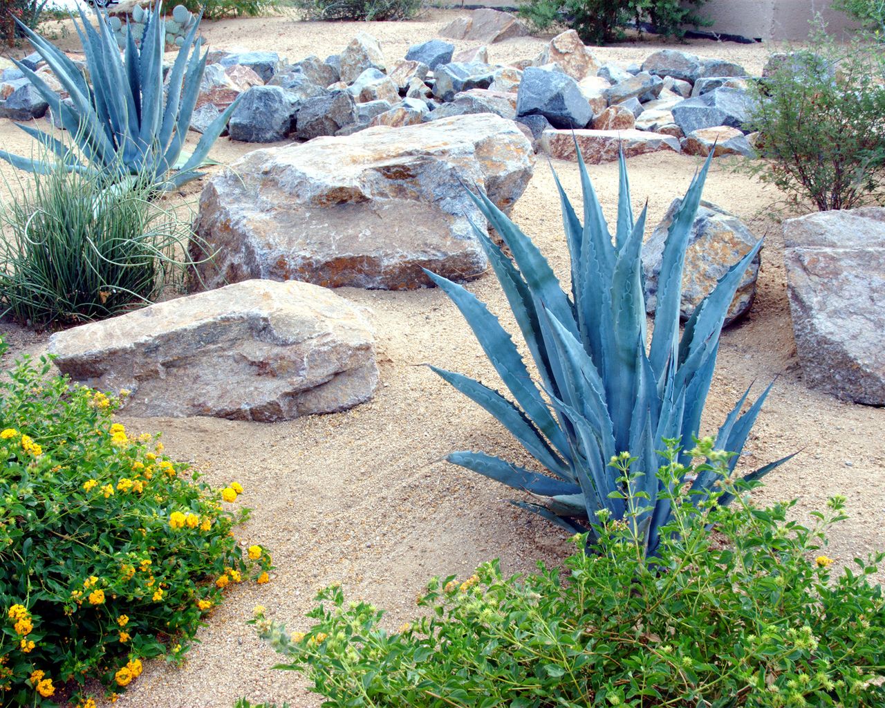 Landscaping with sand: 10 ways to add a coastal vibe | Gardeningetc
