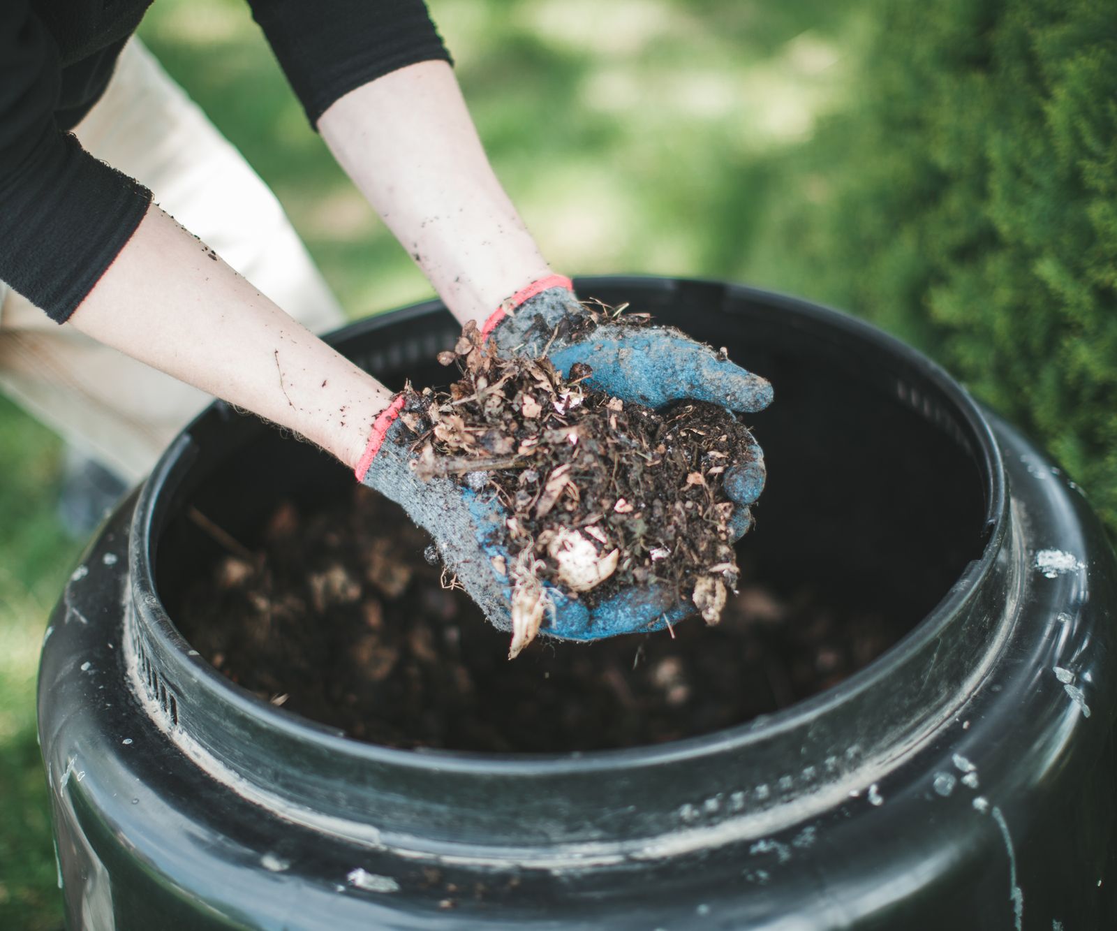 Make your own rose fertilizer - expert tips to feed plants | Homes and ...