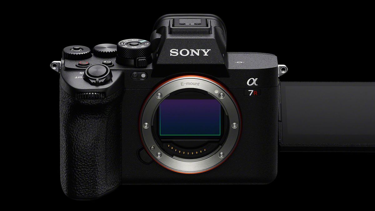 APS-C vs full frame: what you need to know to help you choose the right ...