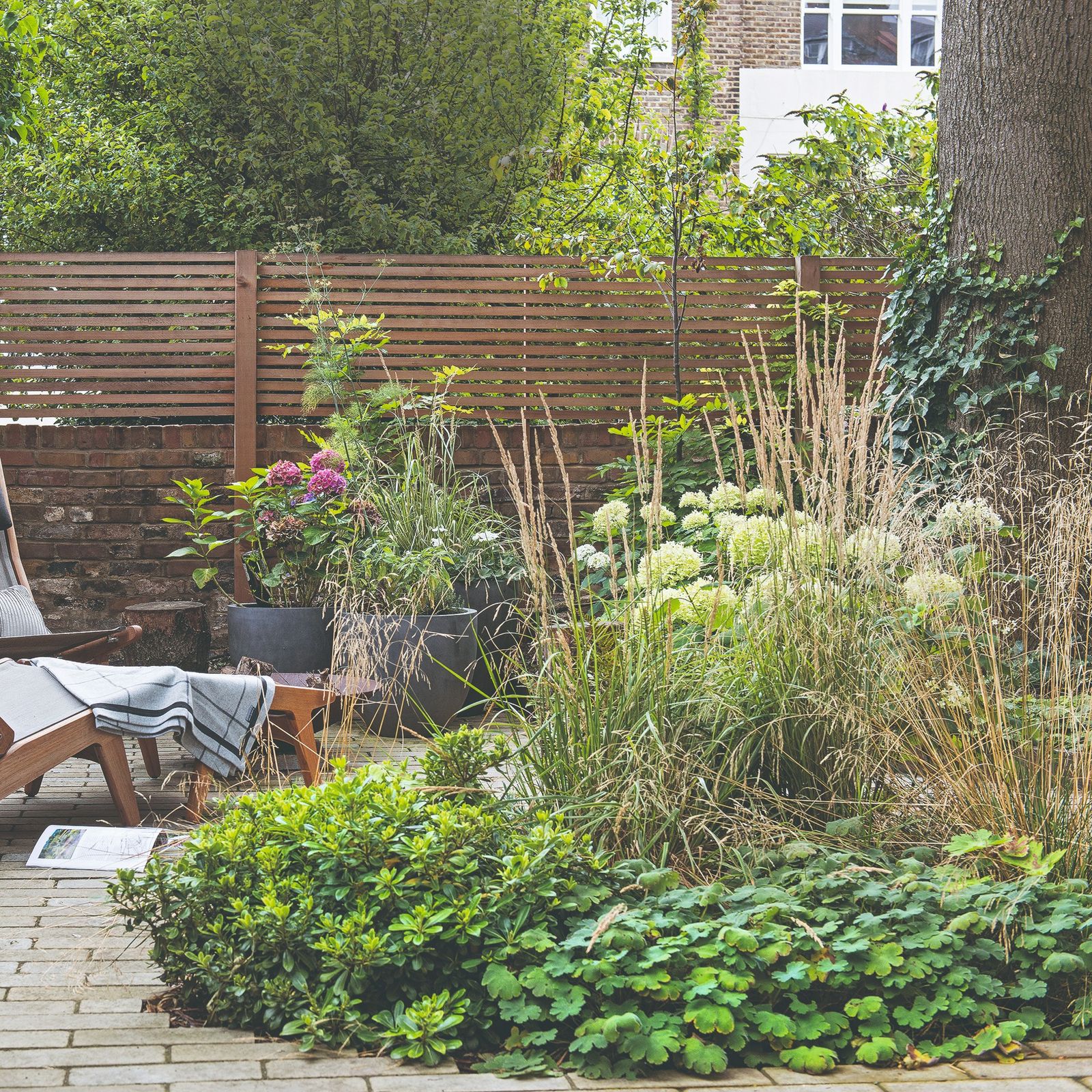 Will ground cover plants stop weeds growing in your garden? | Ideal Home