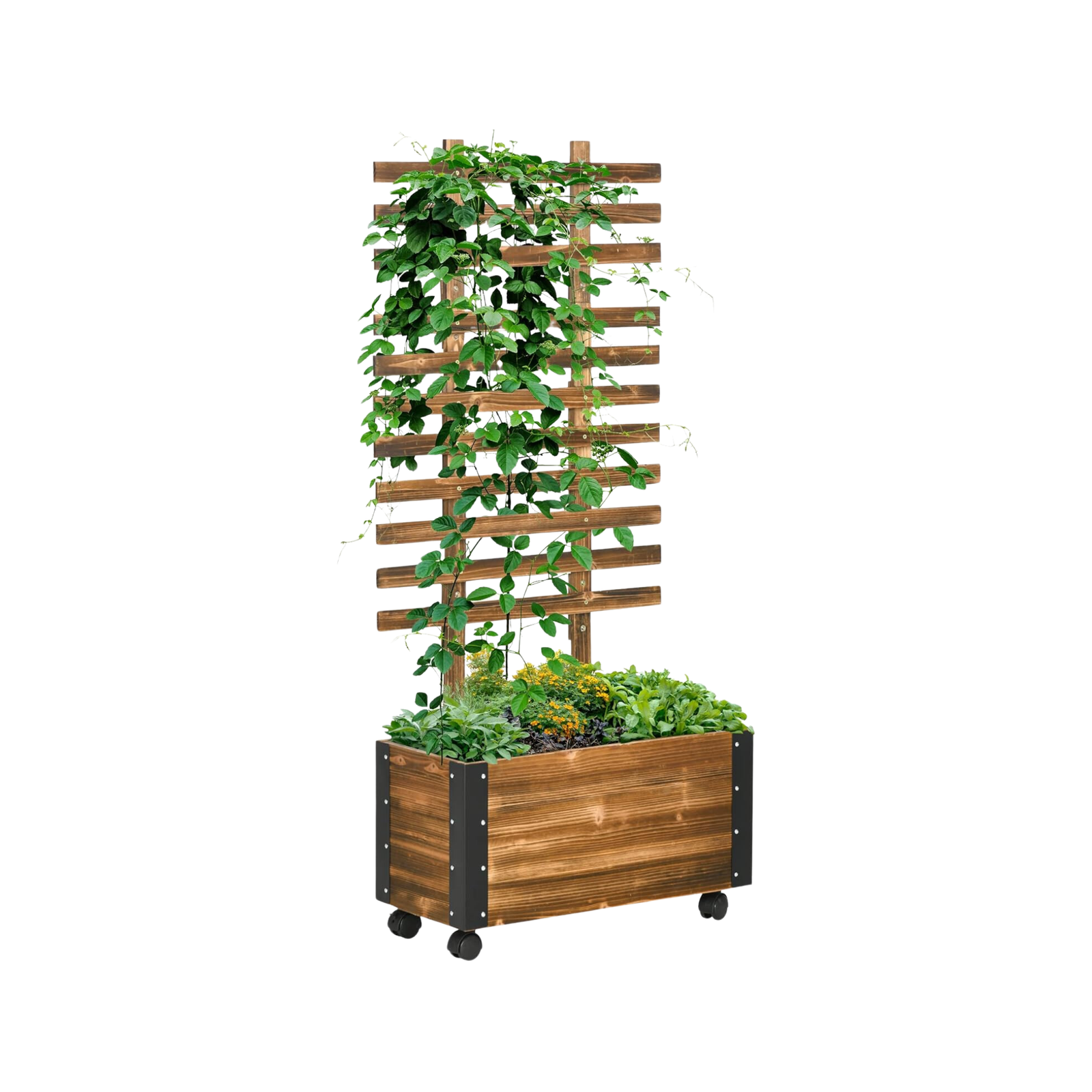 These Viral Planter Screens Are Great for Backyard Privacy | Livingetc