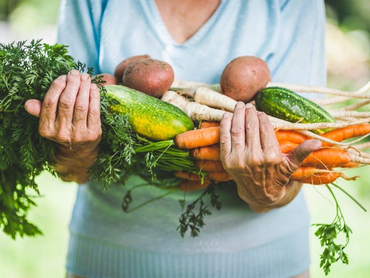 Best Vegetables for Elderly Gardeners To Grow | Gardening Know How