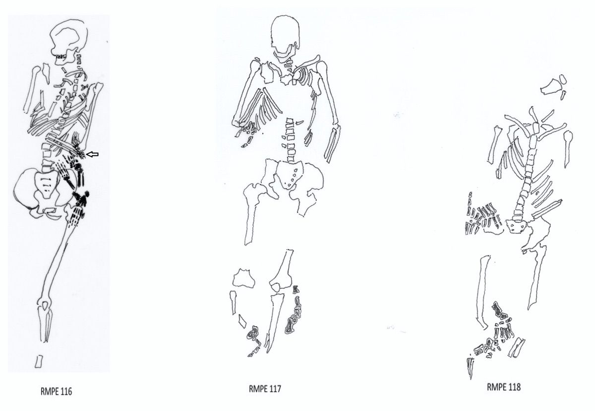 Haunting Discovery: Medieval Skeletons Bear Evidence of Barbaric ...