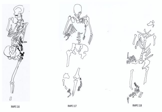 Haunting Discovery: Medieval Skeletons Bear Evidence of Barbaric ...