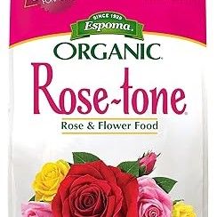 Summer rose care tips: expert-advice for striking blooms | Homes and ...