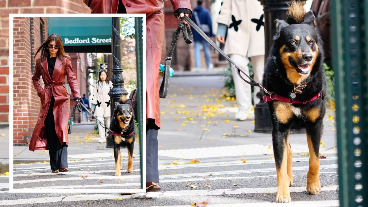 32 adorable pics of celebrities and their pets | PetsRadar