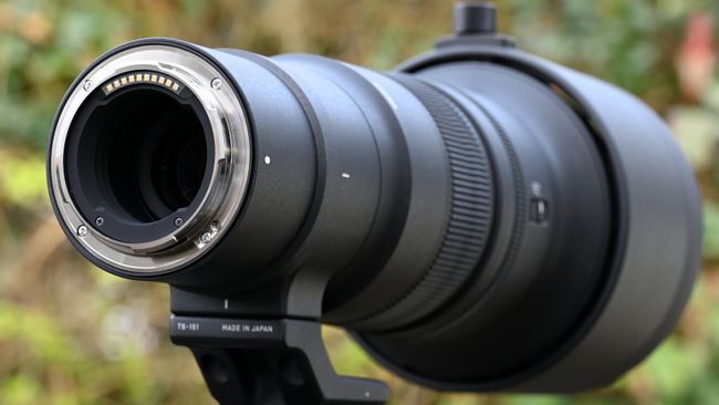 Sigma 500mm F5.6 DG DN OS Sports review: he ain’t heavy, he’s a super ...