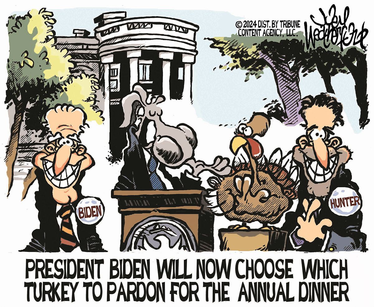 Today's political cartoons - November 21, 2024 | The Week