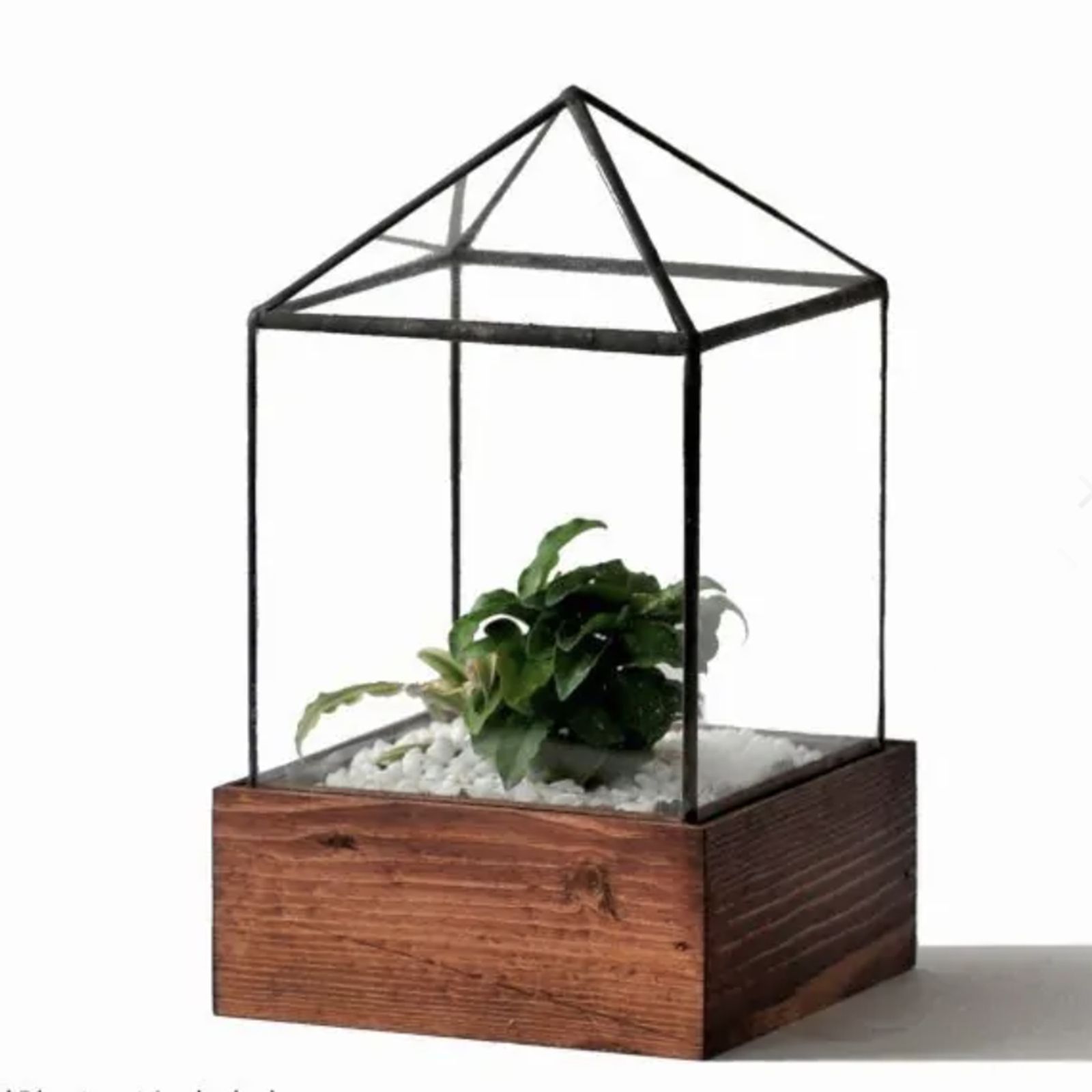 How to make a terrarium in 5 simple steps | Homes and Gardens