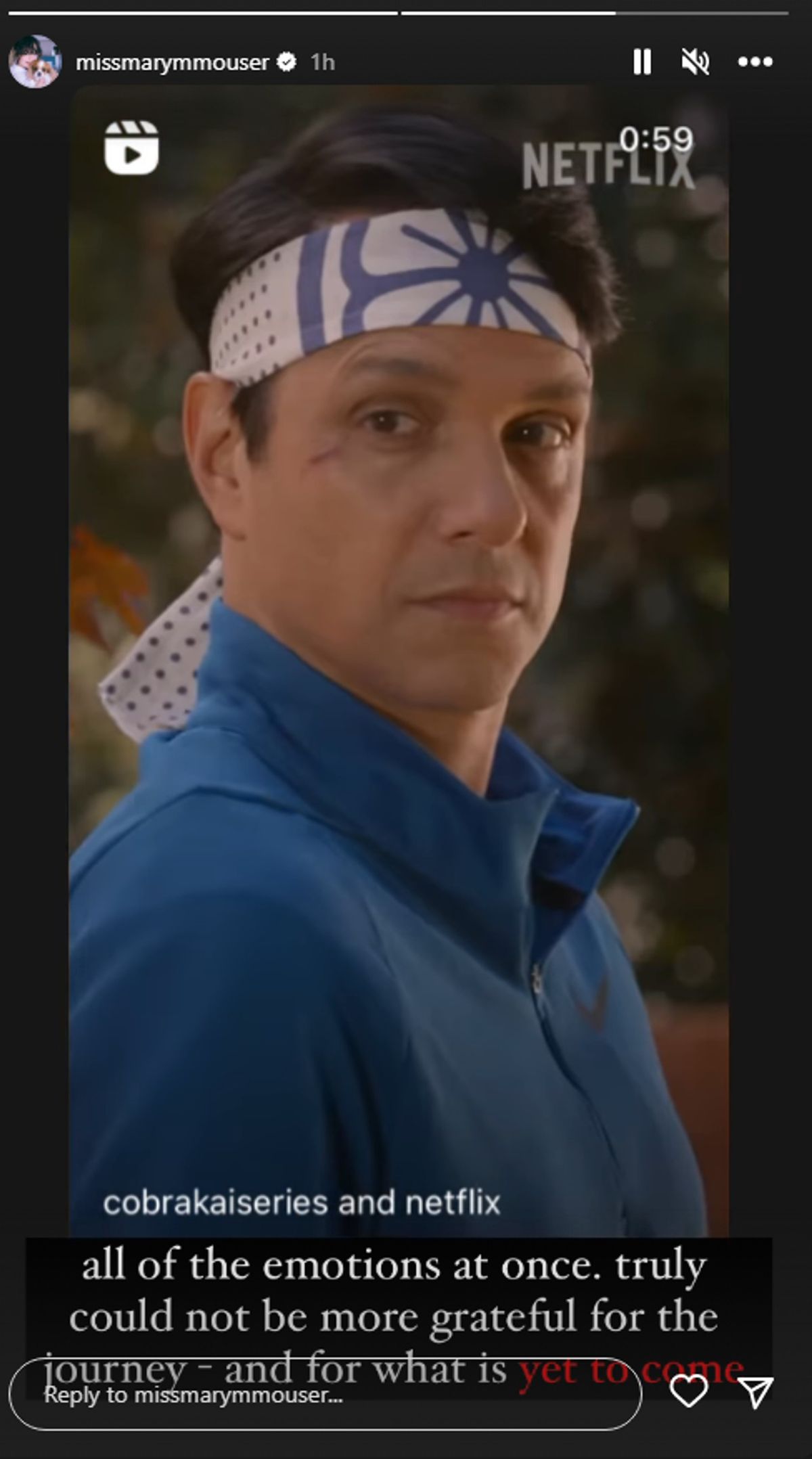 Ralph Macchio William Zabka And Cobra Kai Cast React To The Netflix