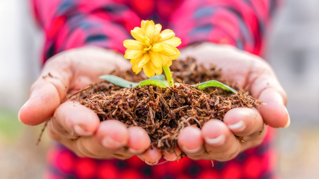 Turbocharge Your Soil in June | Refresh Soil in Summer | Gardening Know How