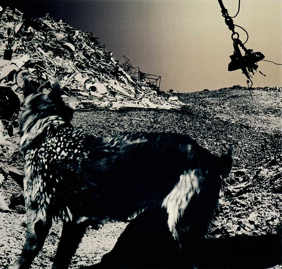 Jo Ractliffe reflects on 35 years of 'expanding the frame' | Wallpaper