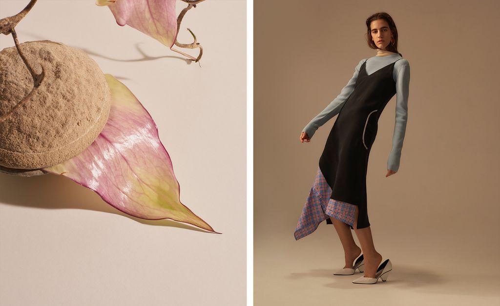 Second nature: sharp silhouettes and sculptural still lifes collide in ...