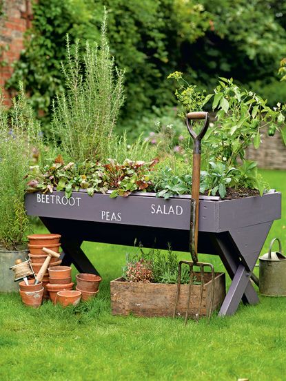 Kitchen garden ideas: 12 stylish designs for your vegetable patch ...