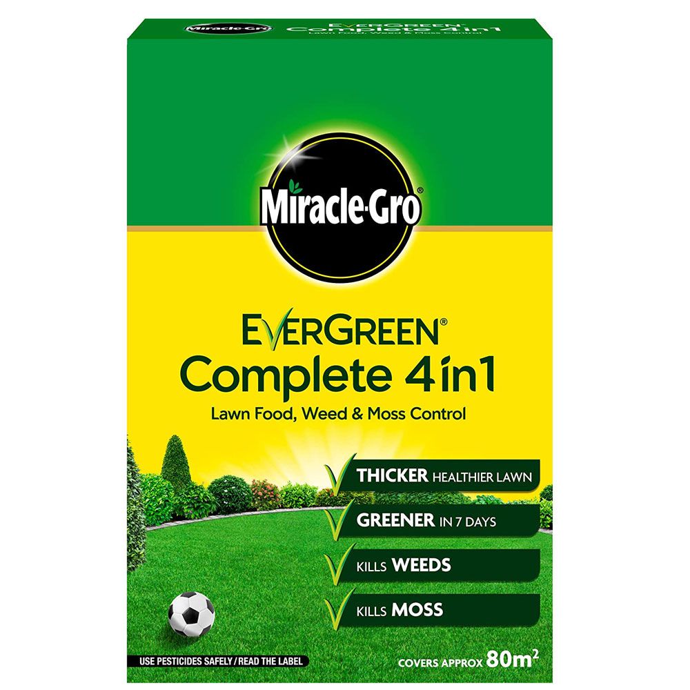 How to get rid of moss in a lawn: 5 steps to a healthy grass | Ideal Home