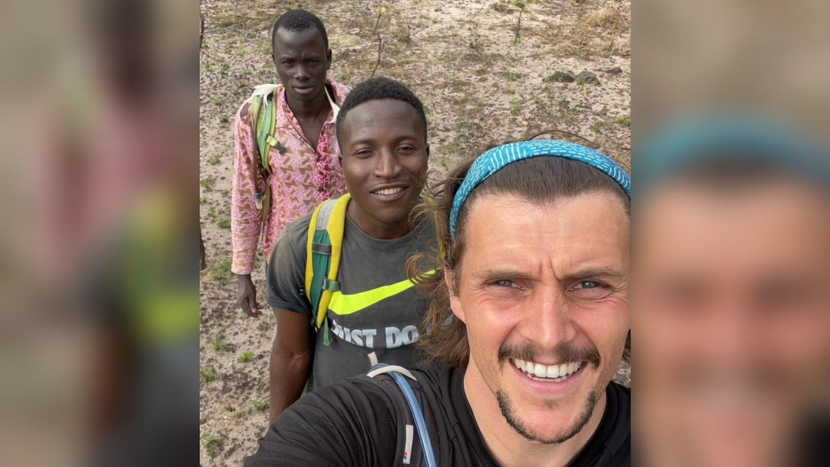 Alpha chimp steals eagle's dinner in 'surreal and exhilarating' forest ...