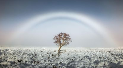 12 of the world's most extraordinary and beautiful weather phenomena ...