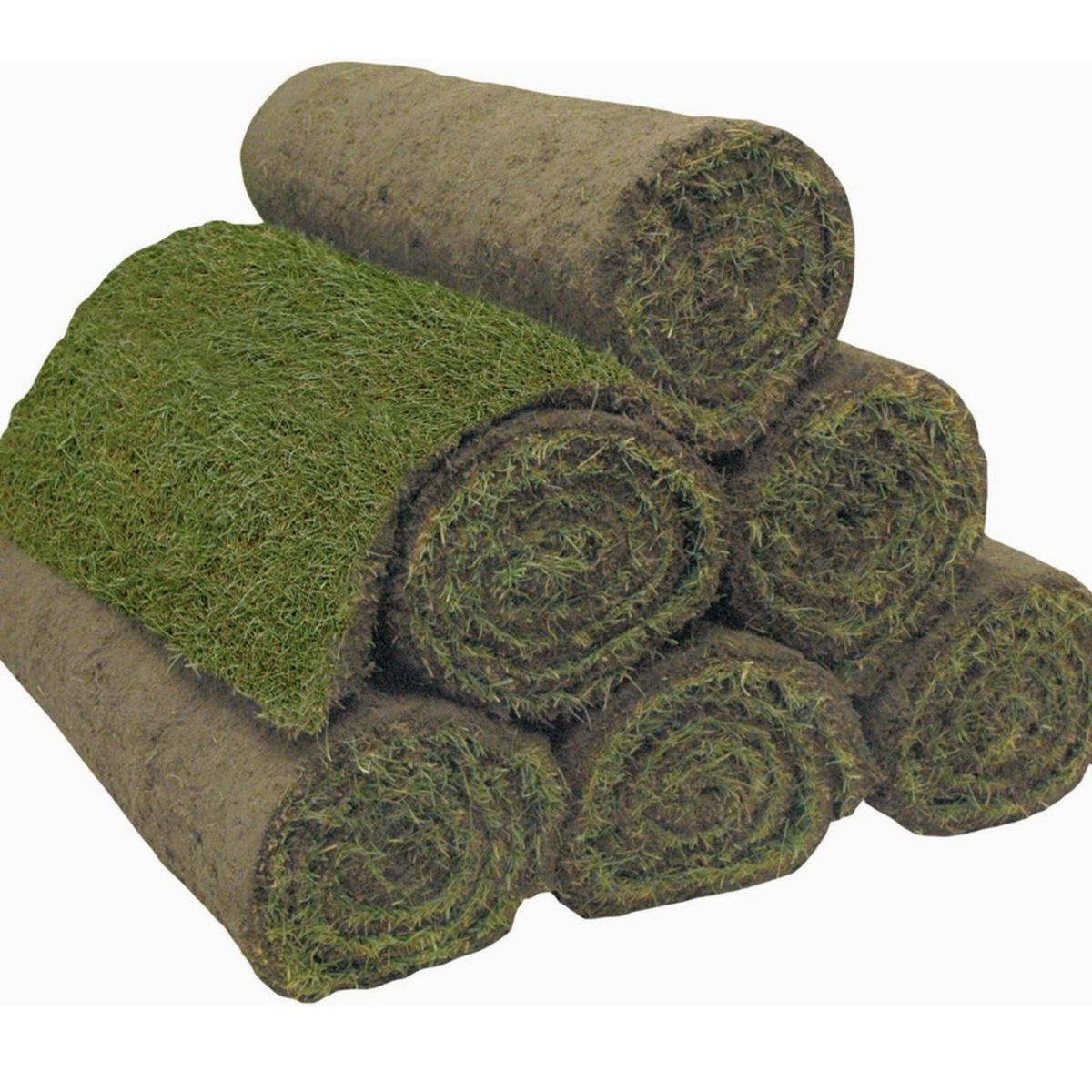 How to lay turf like a pro: 3 steps to a successful lawn | Homebuilding