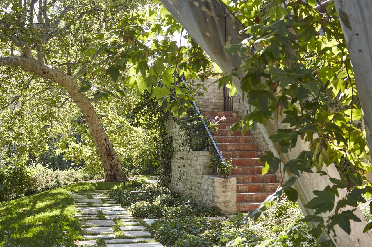 Best trees for front yards - 8 picks for curb appeal | Livingetc